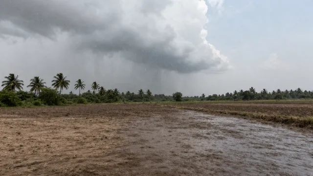 What Is a Monsoon: Meaning, Weather and Rain | MeteoFlow