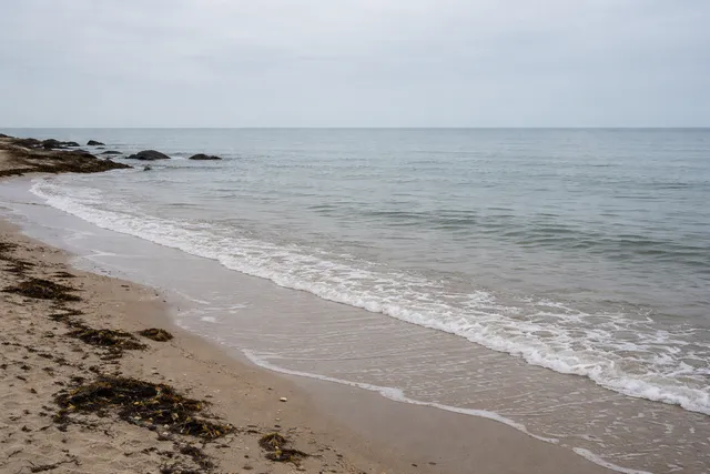 High Tide vs Low Tide: Key Differences | MeteoFlow